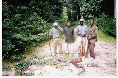 Gabon: La chasse